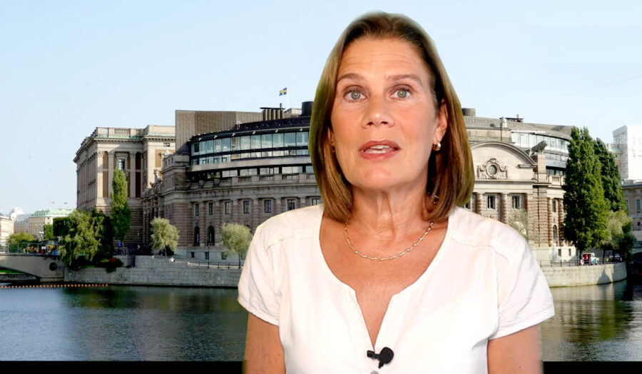 Elsa Widding: Så stoppas nya partier i Sverige - NewsVoice