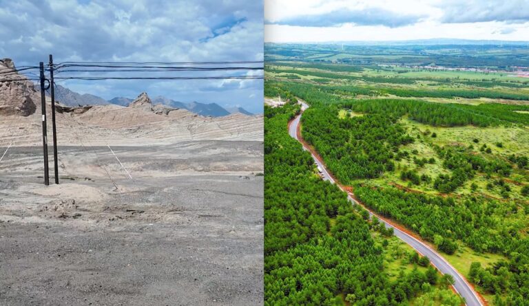 China Invests in Ecosystem Protection and Reforestation of Deserts ...